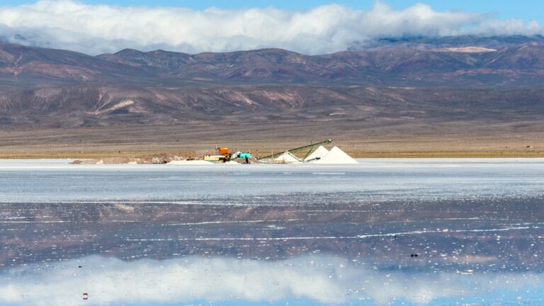 THE ROLE OF ARGENTINA'S LITHIUM SECTOR IN THE GLOBAL ENERGY TRANSITION ...